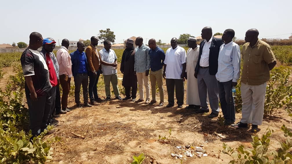 GFF Hands Over Construction of 2 Stadium Projects, Pool in Old Yundum ...